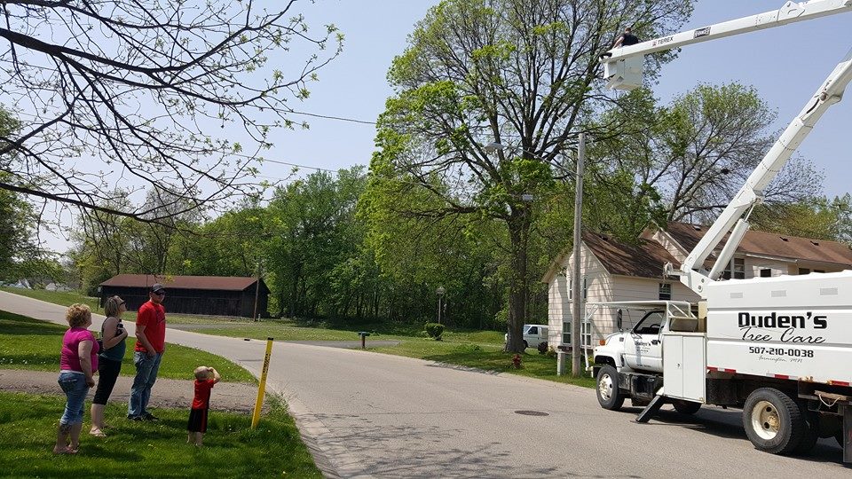 Gallery - Duden's Tree Care